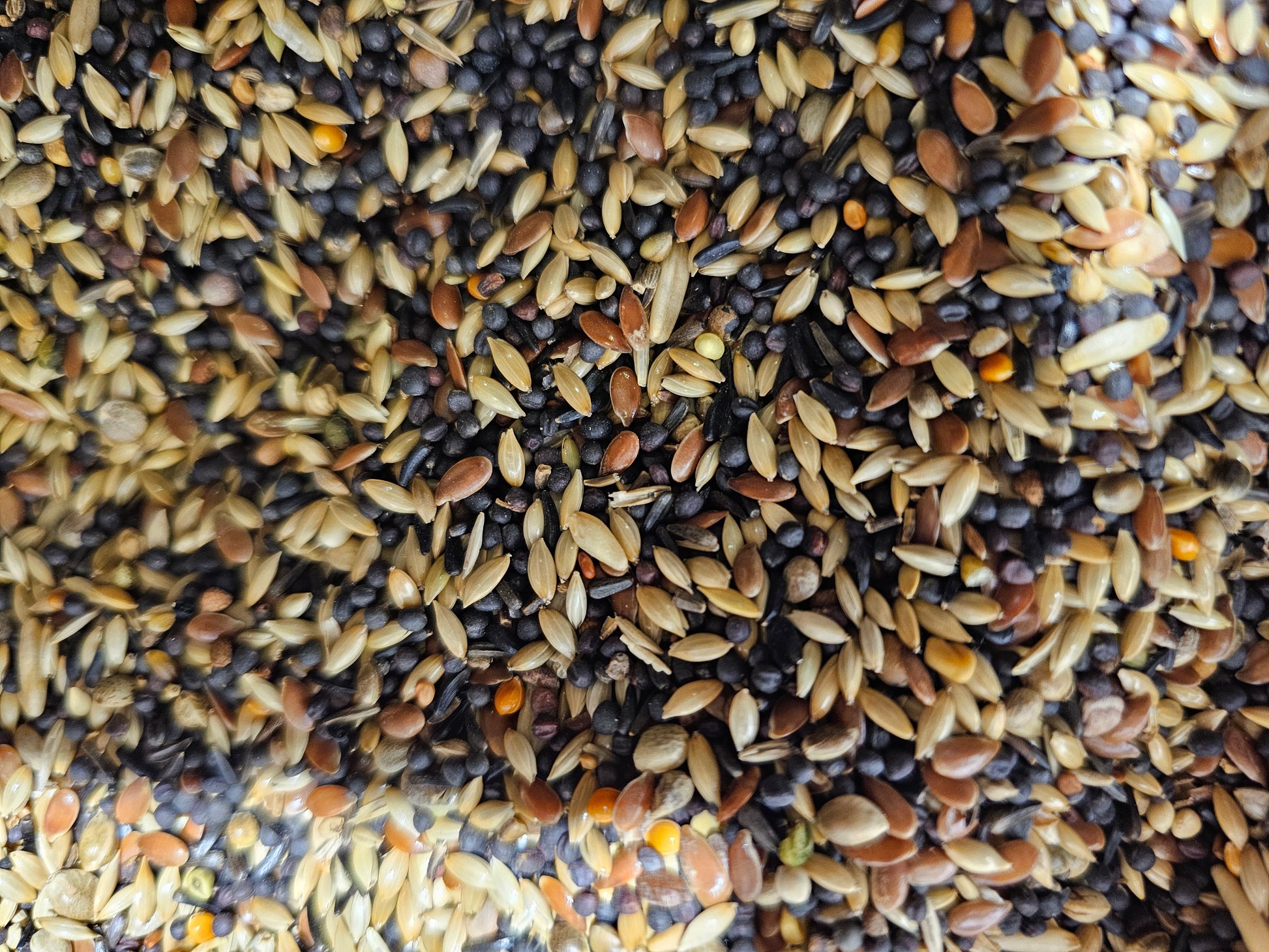 Sijs & Distelvinken 25kg – Birdshop Christina Pet Shop