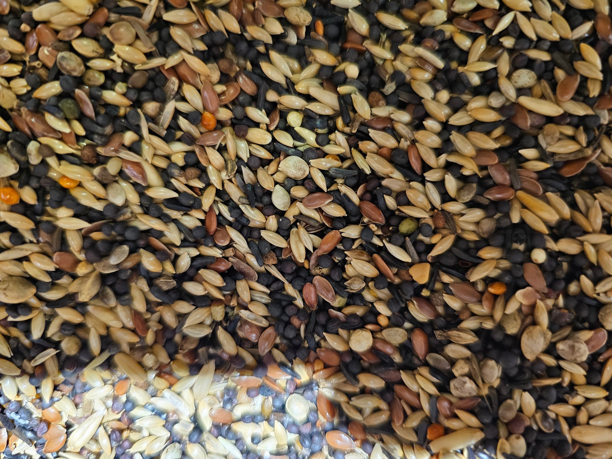 Sijs & Distelvinken 25kg – Birdshop Christina Pet Shop