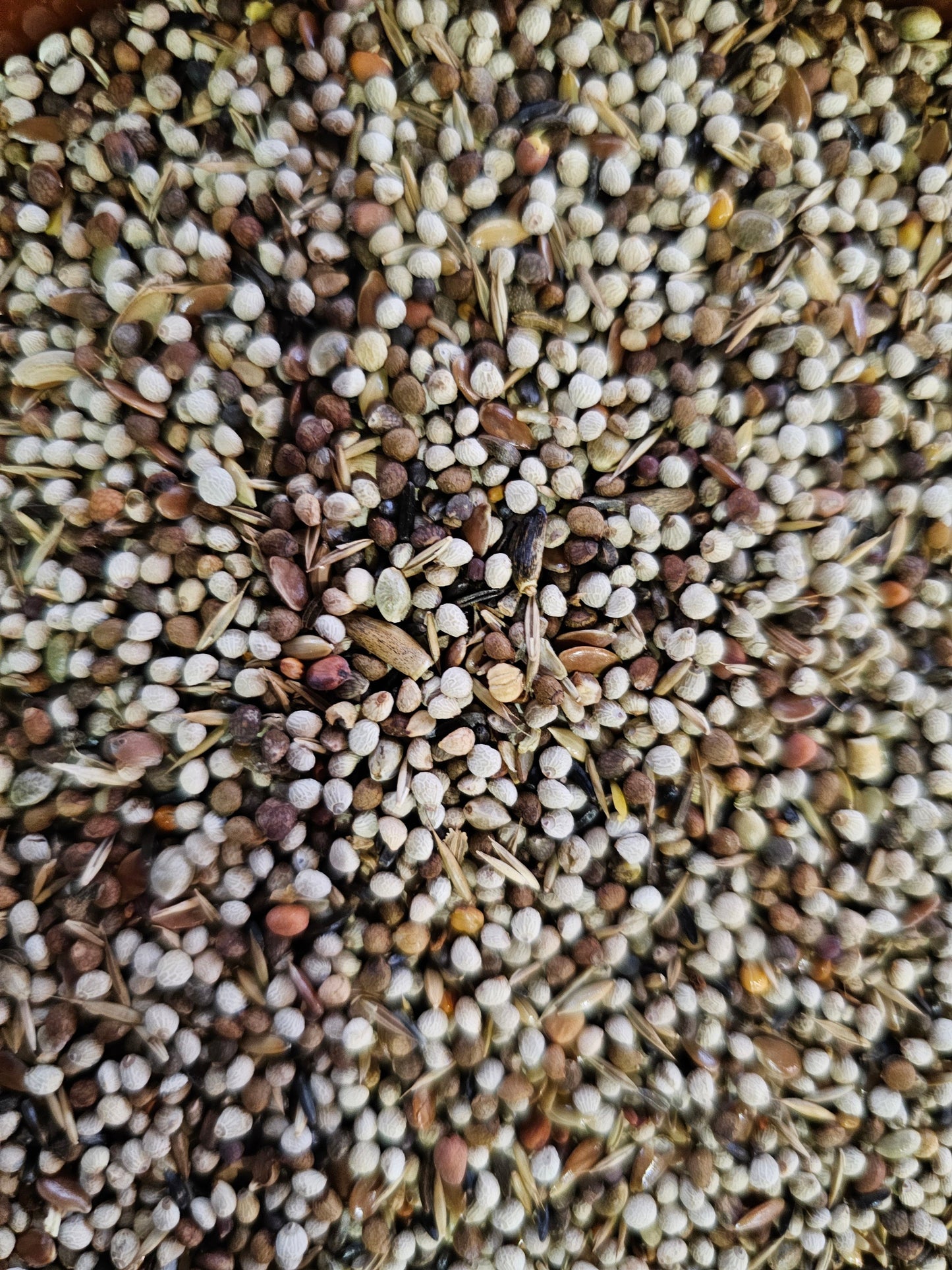 Distelvinken Super 20kg - Huismerk – Birdshop Christina Pet Shop