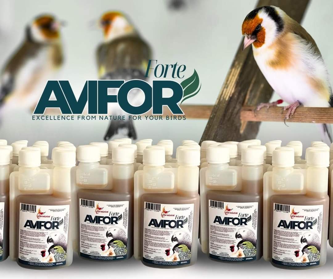 Avifor Forte 250ml - Voor Alle Vogels en Duiven - Goed Voor 250L Water ...