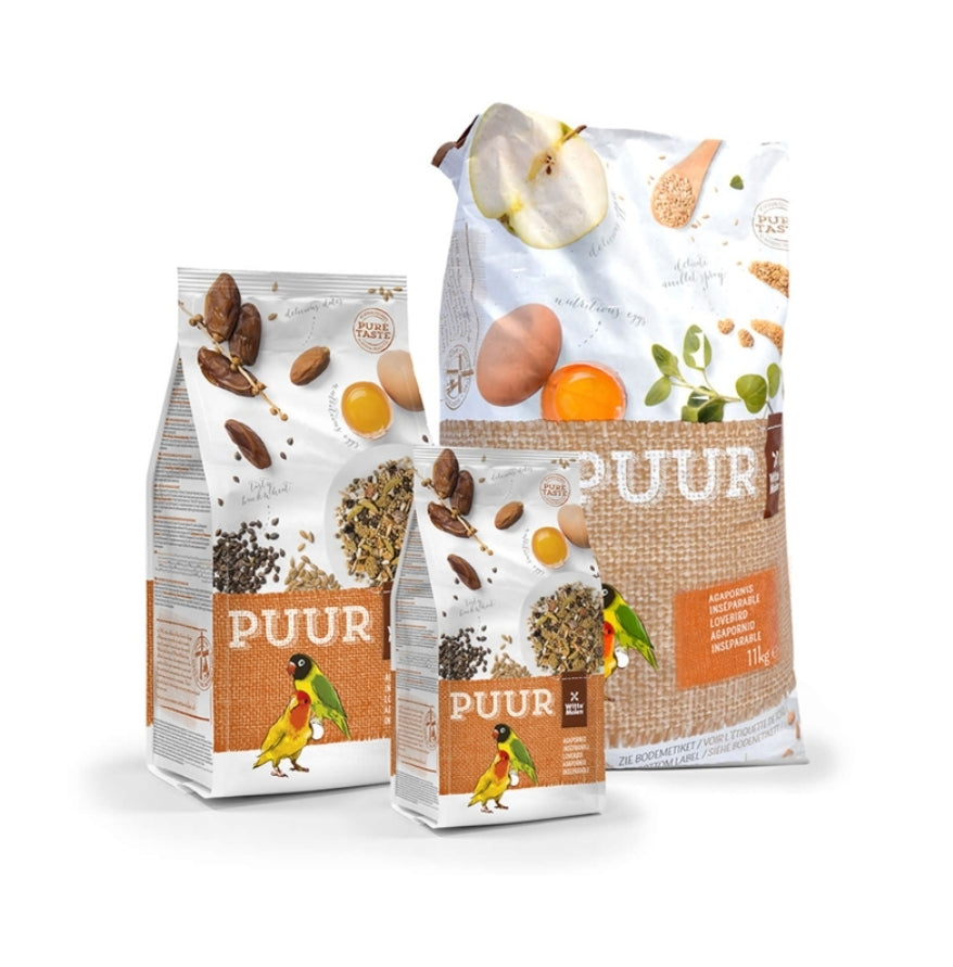 Puur agapornis 2kg - Witte Molen – Birdshop Christina Pet Shop