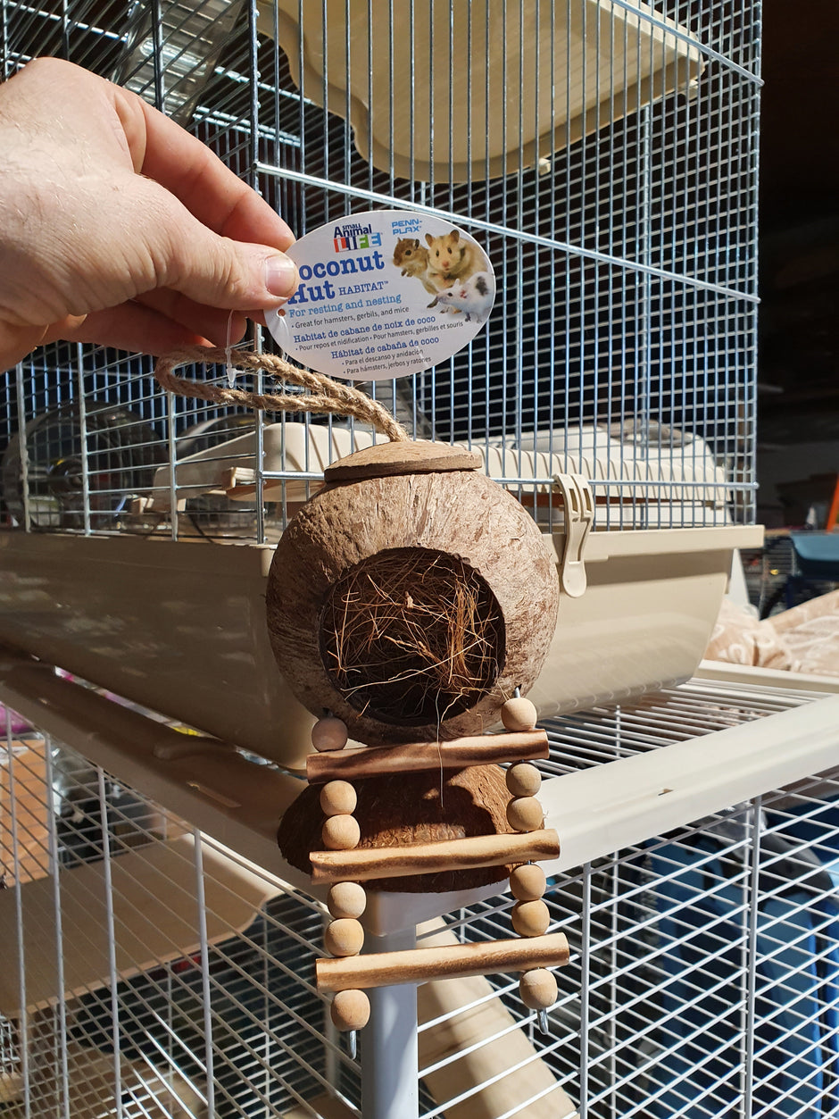 Houten Broed & Nest kasten – Page 2 – Birdshop Christina Pet Shop