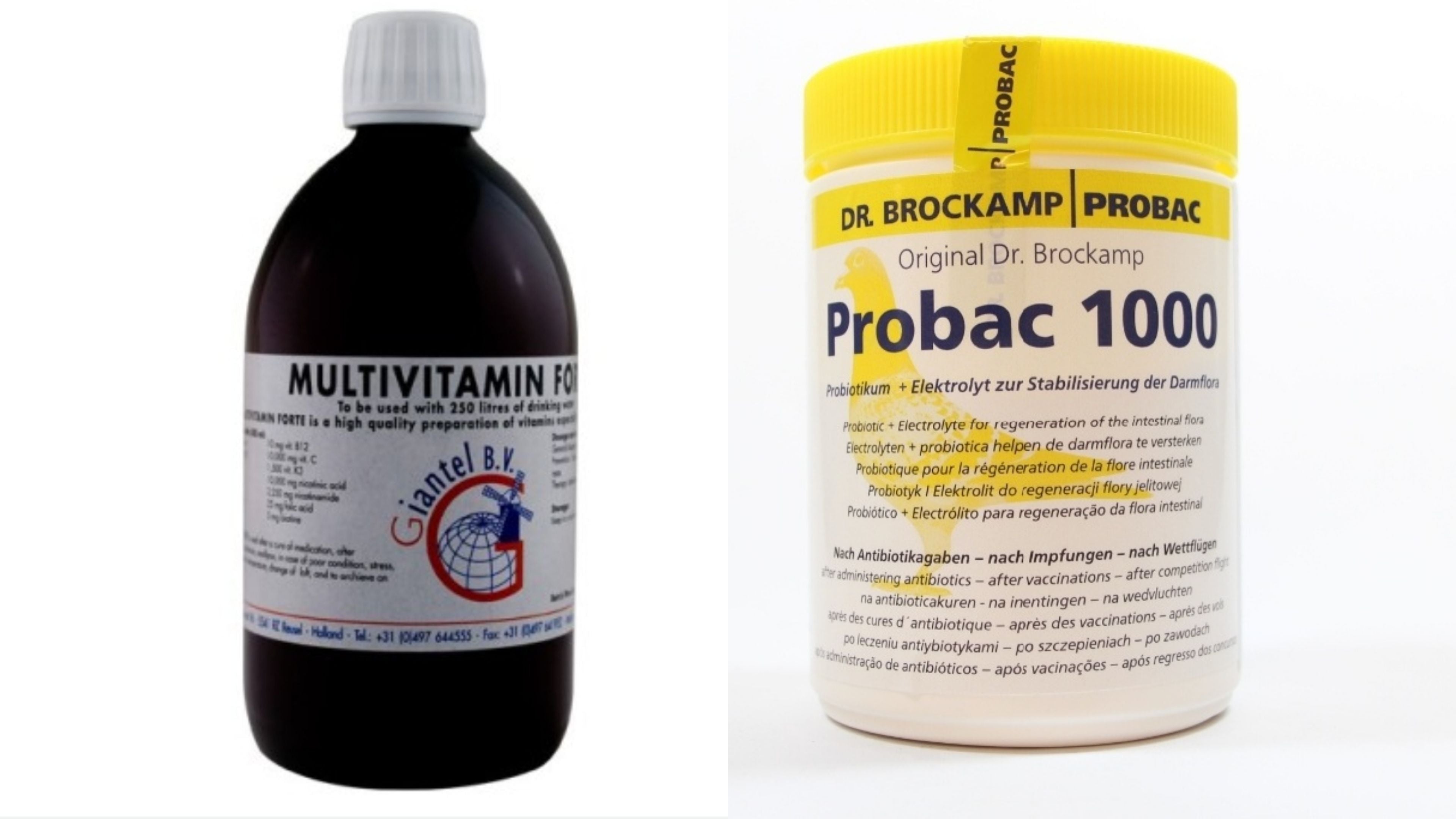 Kombipaket – Multivitamin Gold Pigeons + Probac 1000 – Birdshop ...